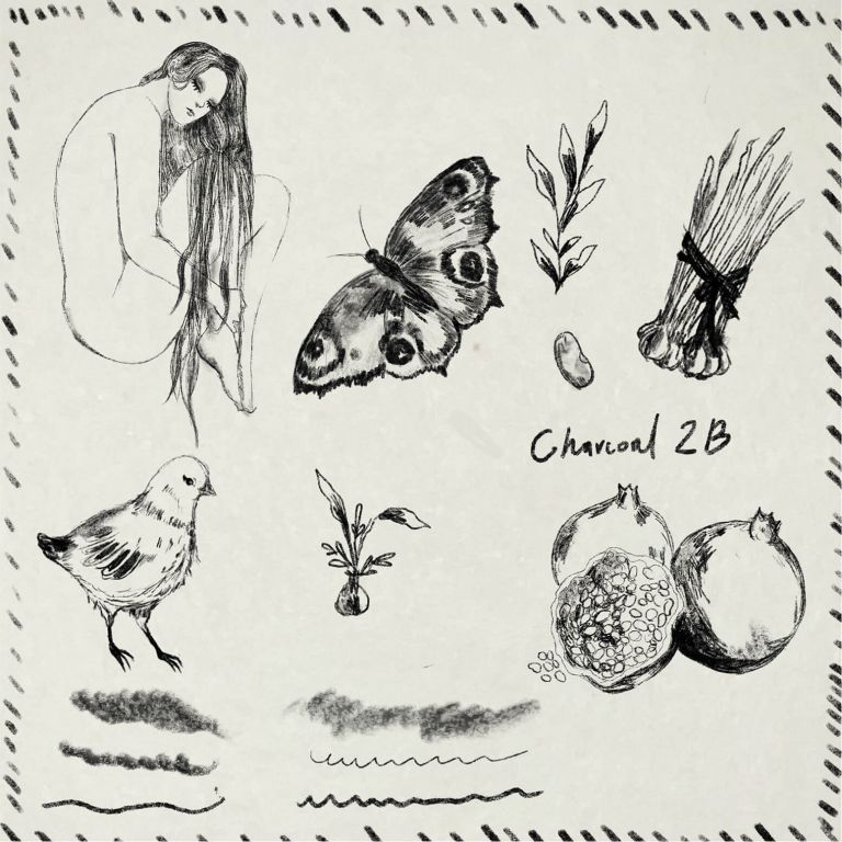 Charcoal 2B - Free Brushes for Procreate