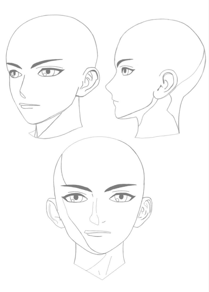 Easy Drawing References - Free Brushes for Procreate
