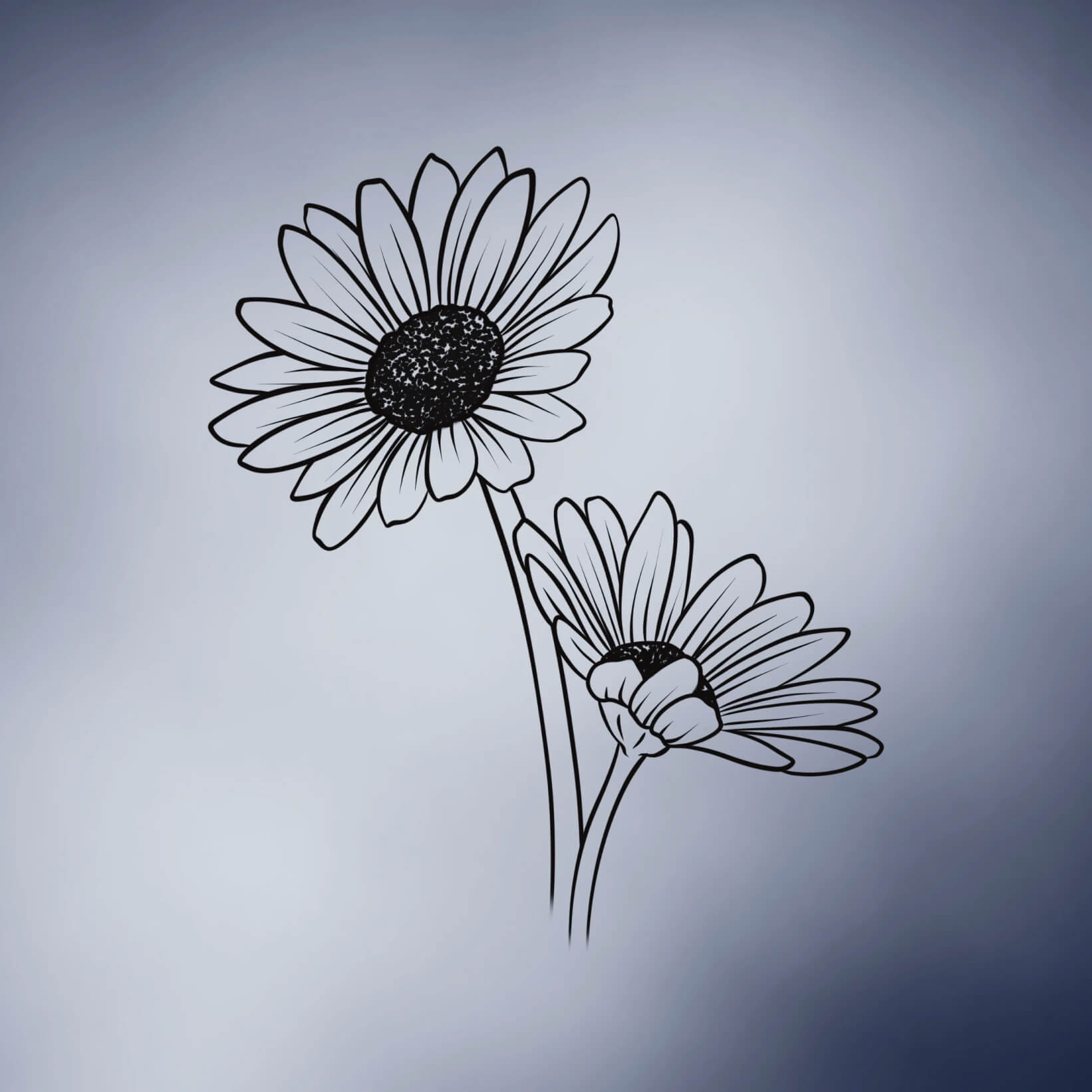 Daisy flower stamp for procreate - Free Brushes for Procreate