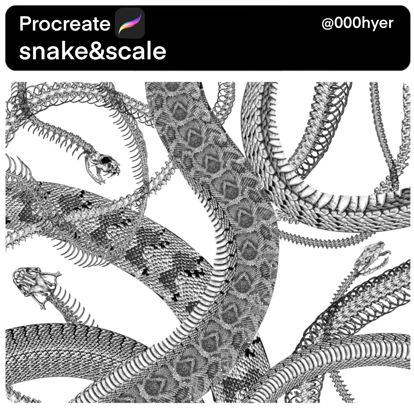 Serpent Scale & Bone Texture Brushes for Procreate - Free Brushes for ...