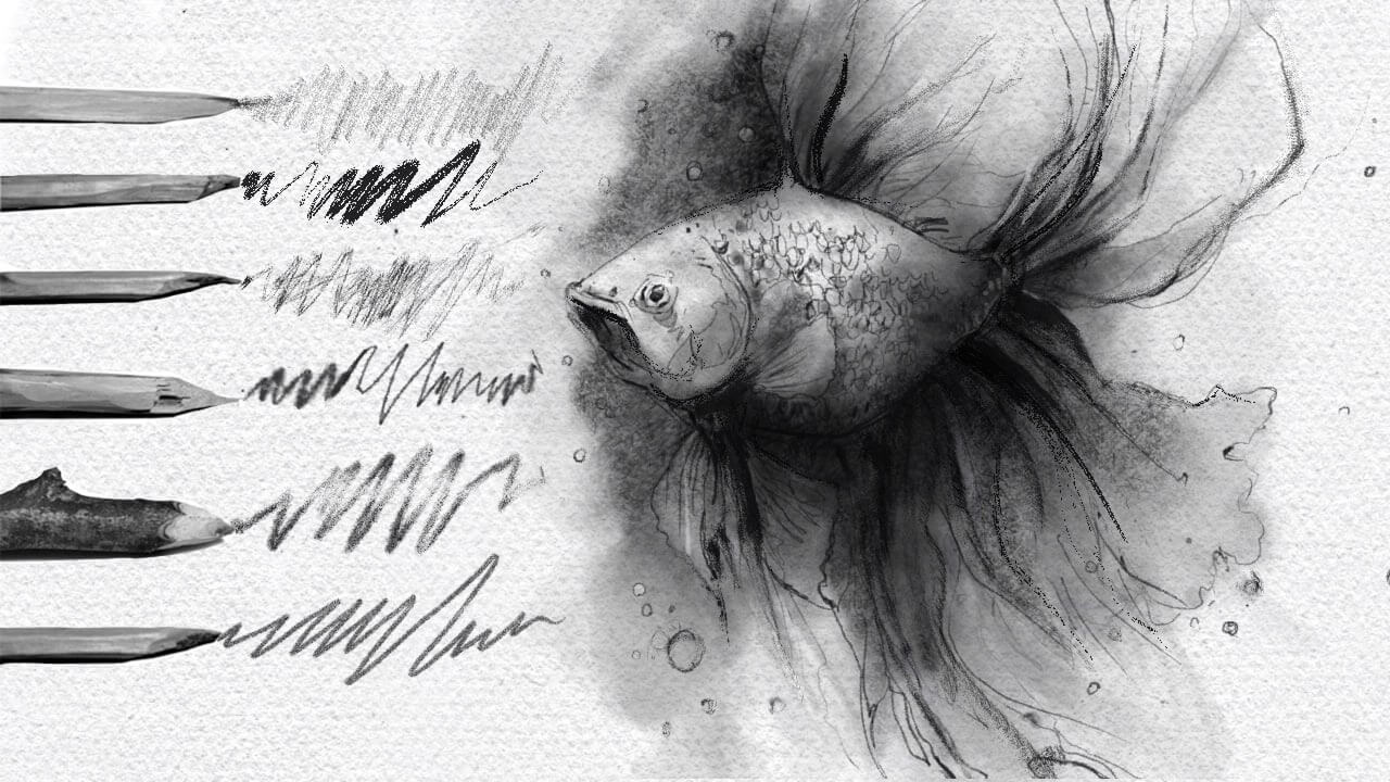 Handmade Twig & Ink Procreate Brush Set - Free Brushes for Procreate