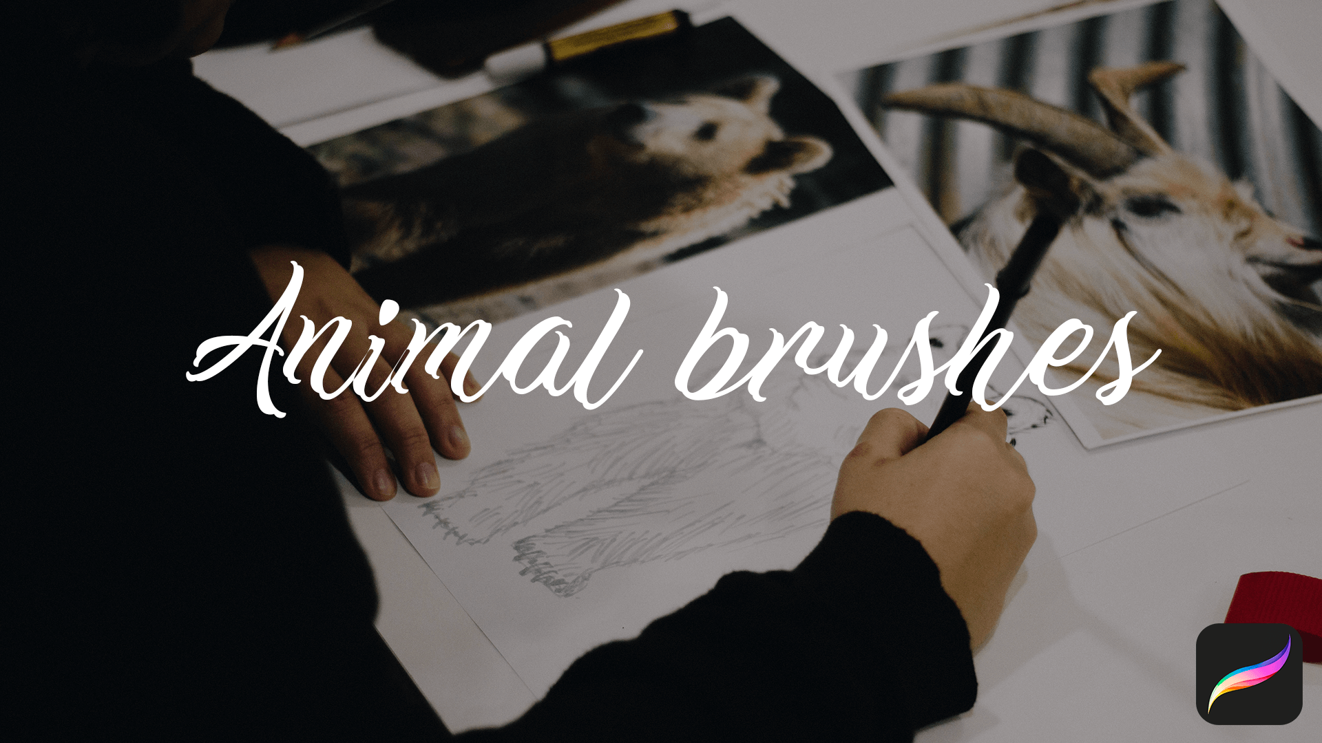 10 FREE ANIMALS brushes for procreate - Free Brushes for Procreate