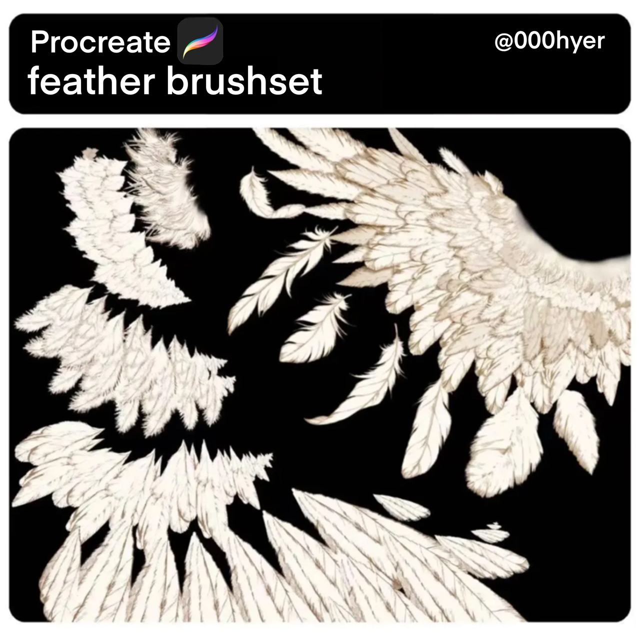 Hot cool Feather procreate brushes - Free Brushes for Procreate