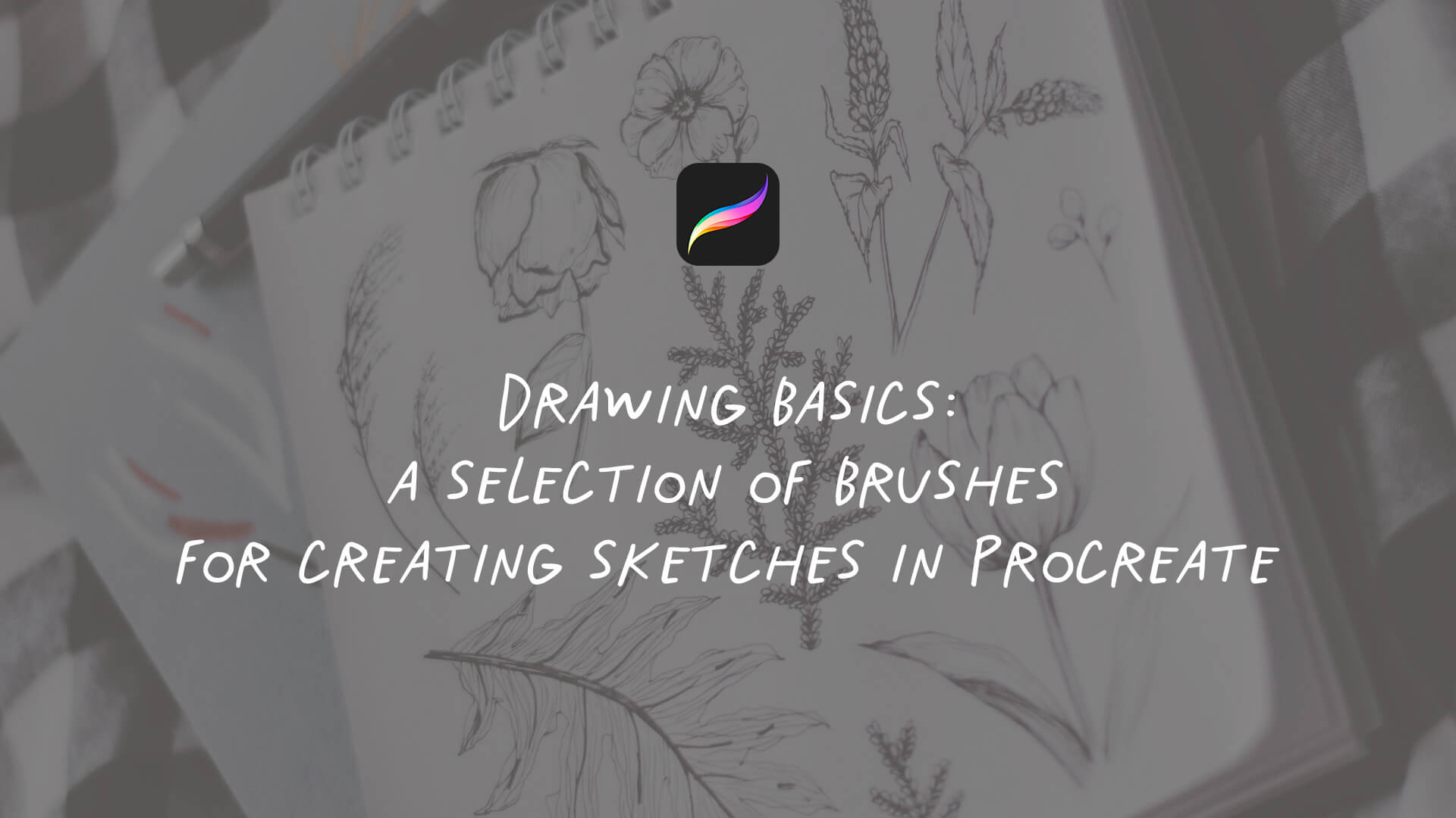Drawing basics: a selection of brushes for creating sketches in ...